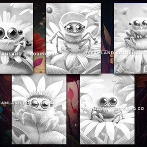 Cute Jumping Spider Coloring Book Adult Kid Downloadable Grayscale ...