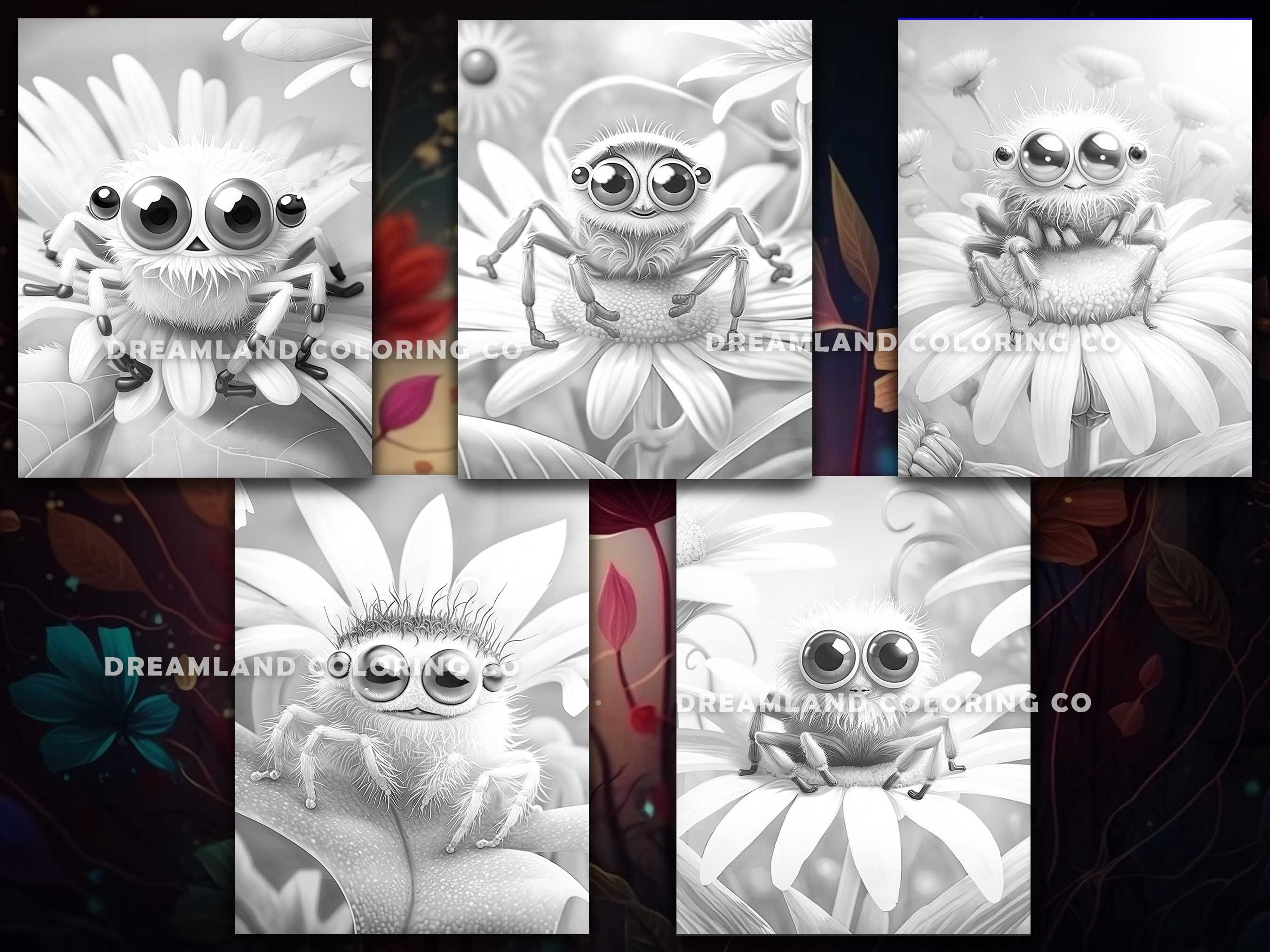 Cute Jumping Spider Coloring Book Adult Kid Downloadable - Etsy