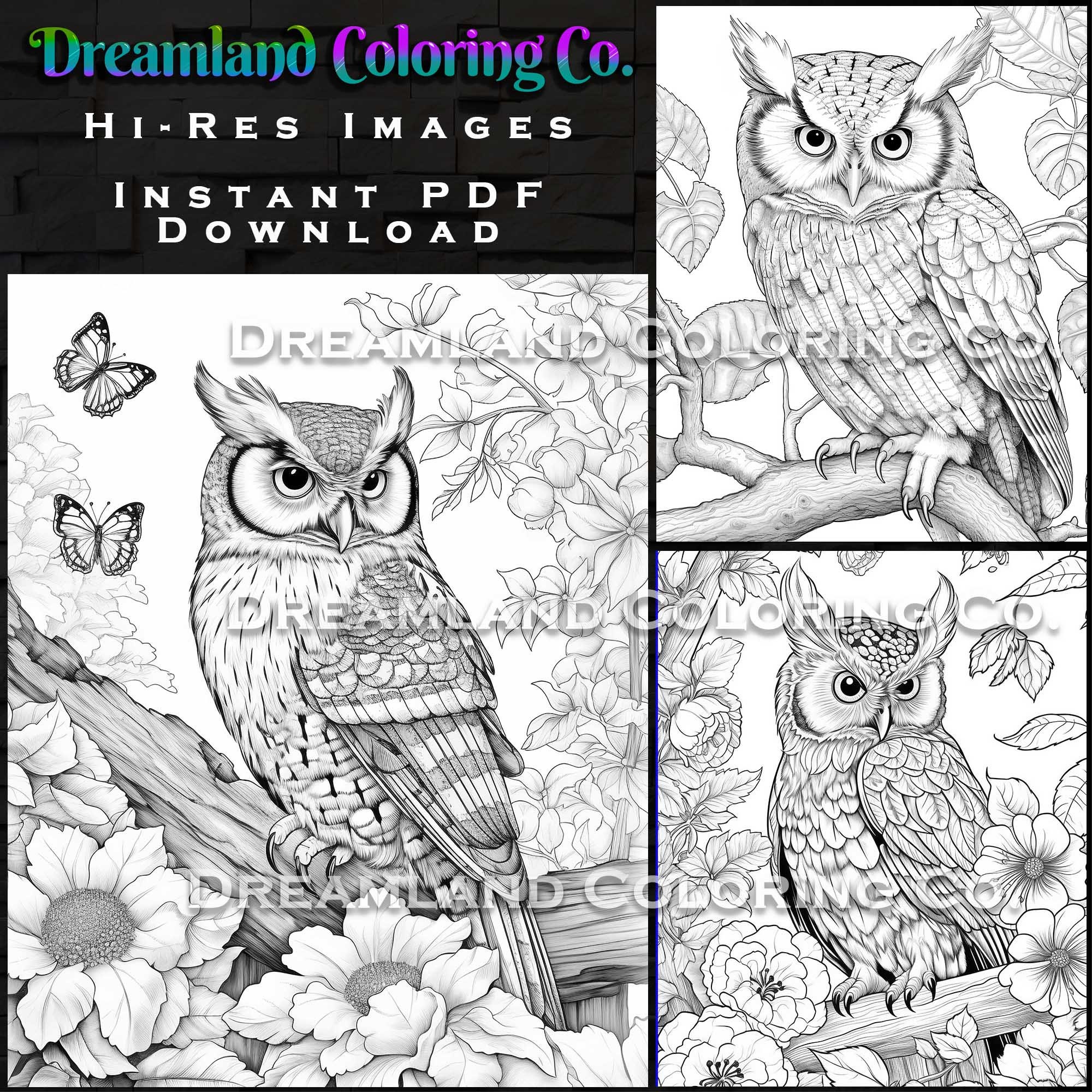 25 Majestic Owls Coloring Book Pages Adult Kids Downloadable Grayscale ...