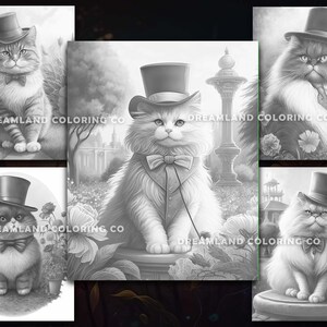 Cute Cat Coloring Pages for Kids and Adults: Printable Digital ...