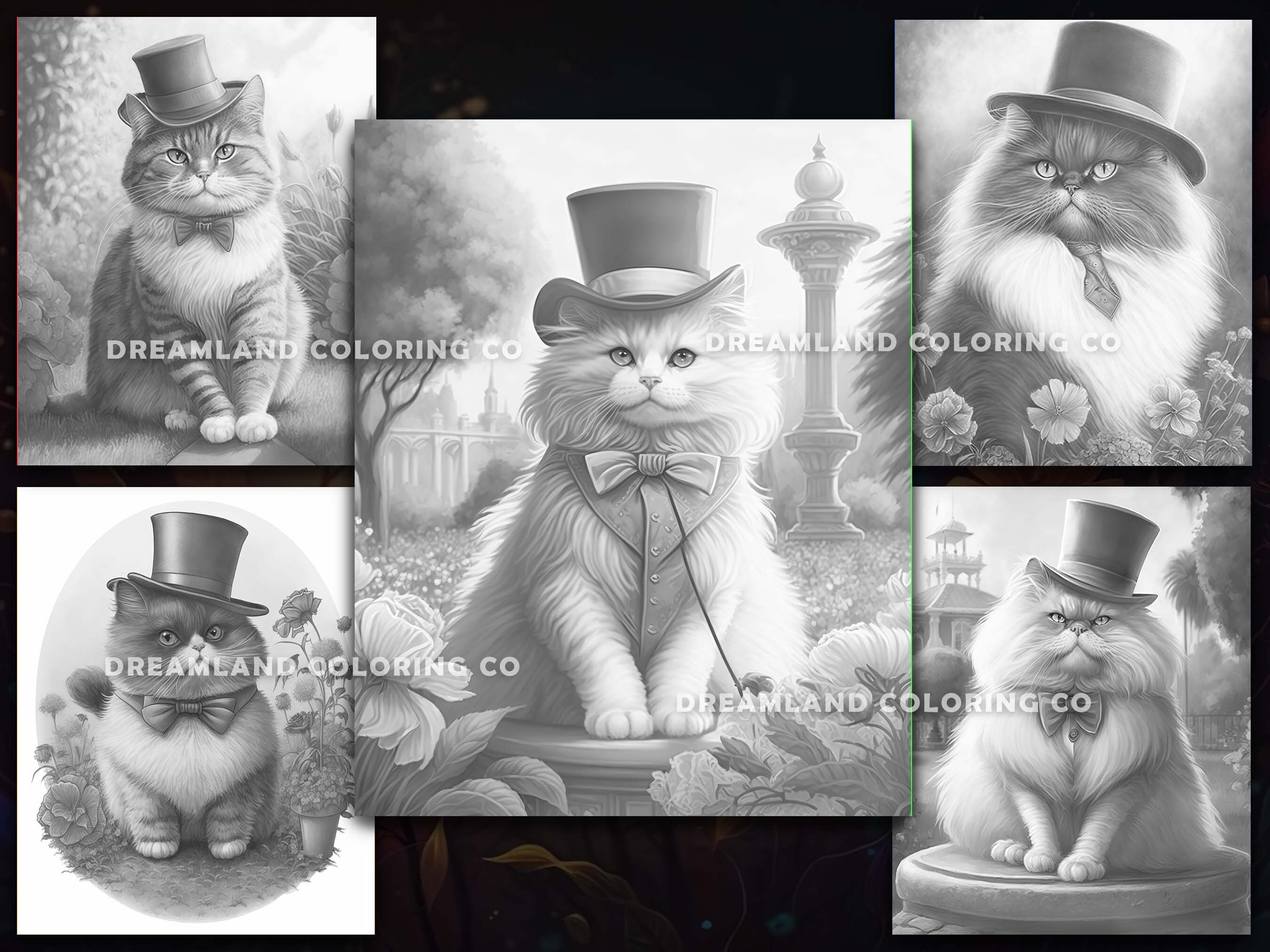 Cute Cat Coloring Pages for Kids and Adults: Printable Digital ...