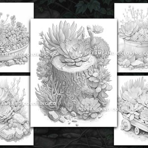 Succulent Garden Coloring Book Pages for Grown Ups and Youngsters 20 ...