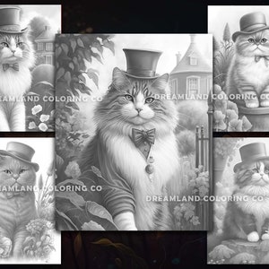 Cute Cat Coloring Pages for Kids and Adults: Printable Digital ...