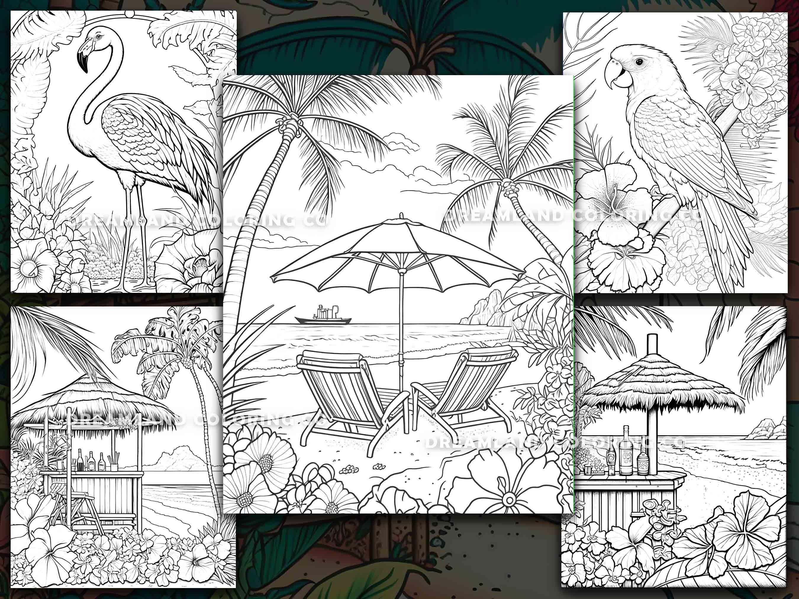 25 Tropical Vacation Trip Coloring Book Pages Adults Kids Traveling ...