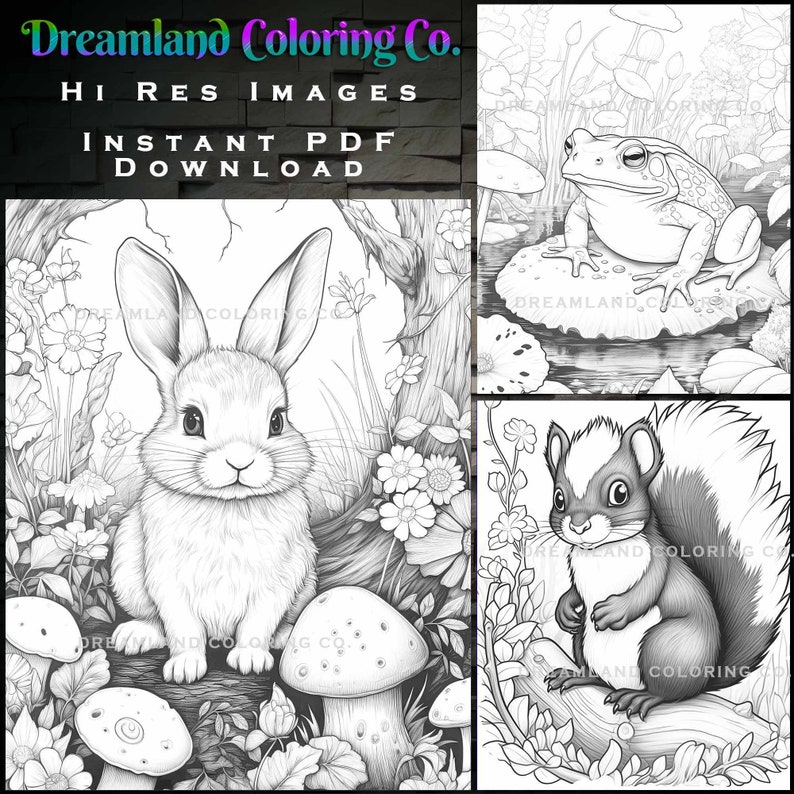 25 Forest Critters Cute Animal Coloring Page Book Adults - Etsy