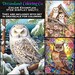 25 Majestic Owls Coloring Book Pages Adult Kids Downloadable Grayscale ...