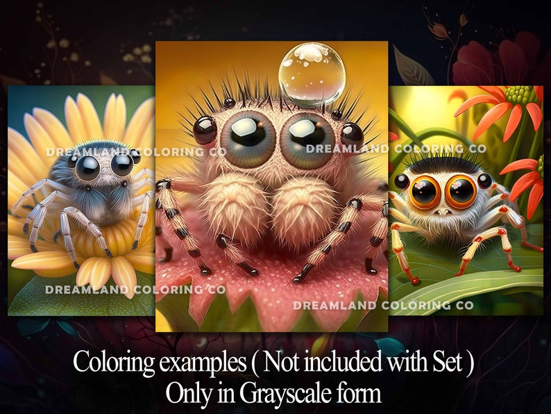 Cute Jumping Spider Coloring Book Adult Kid Downloadable - Etsy