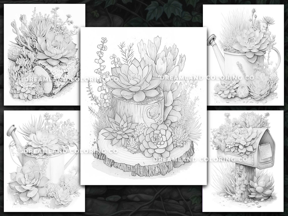 Succulent Garden Coloring Book Pages for Grown Ups and Youngsters 20 ...
