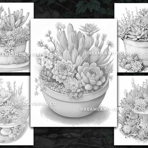 Succulent Garden Coloring Book Pages for Grown Ups and Youngsters 20 ...