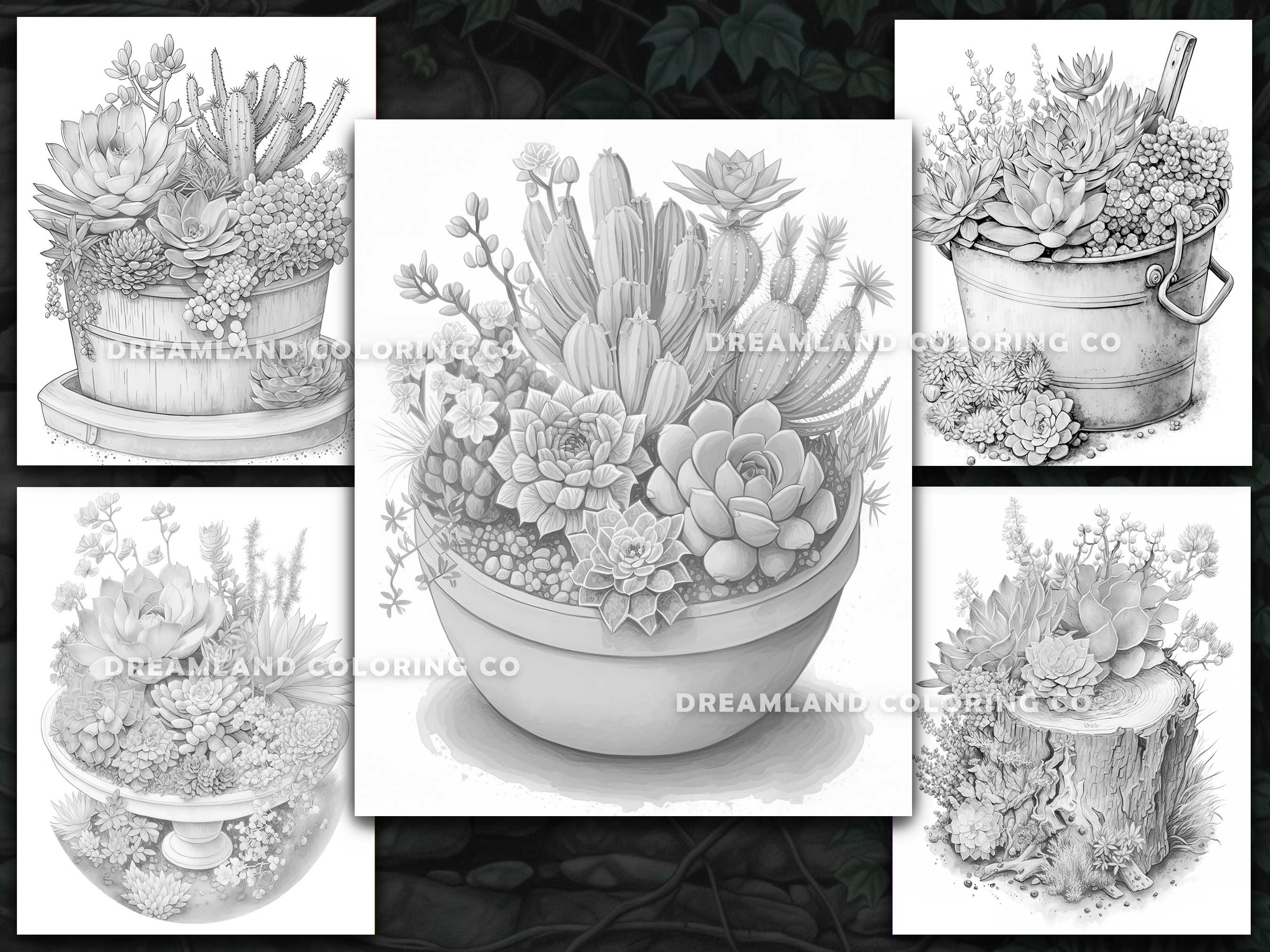 Succulent Garden Coloring Book Pages for Grown Ups and Youngsters 20 ...