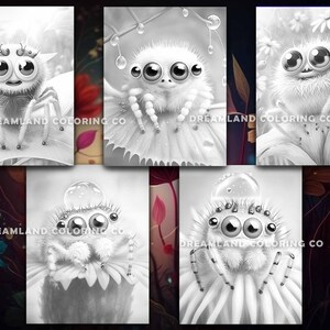 Cute Jumping Spider Coloring Book Adult Kid Downloadable Grayscale ...
