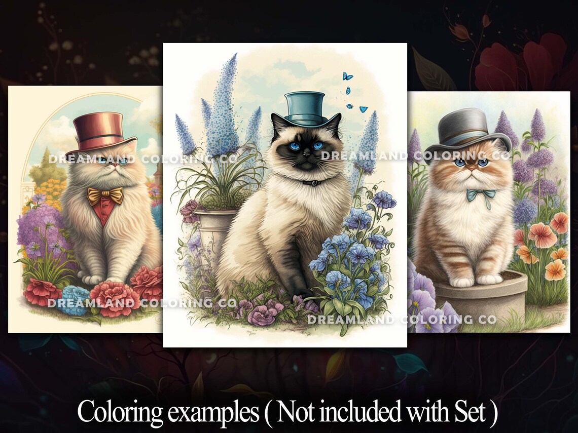 Cute Cat Coloring Pages for Kids and Adults: Printable Digital ...