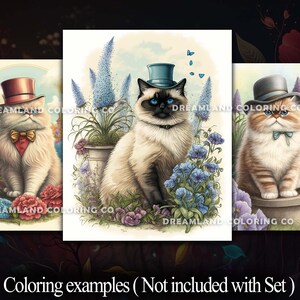 Cute Cat Coloring Pages for Kids and Adults: Printable Digital ...
