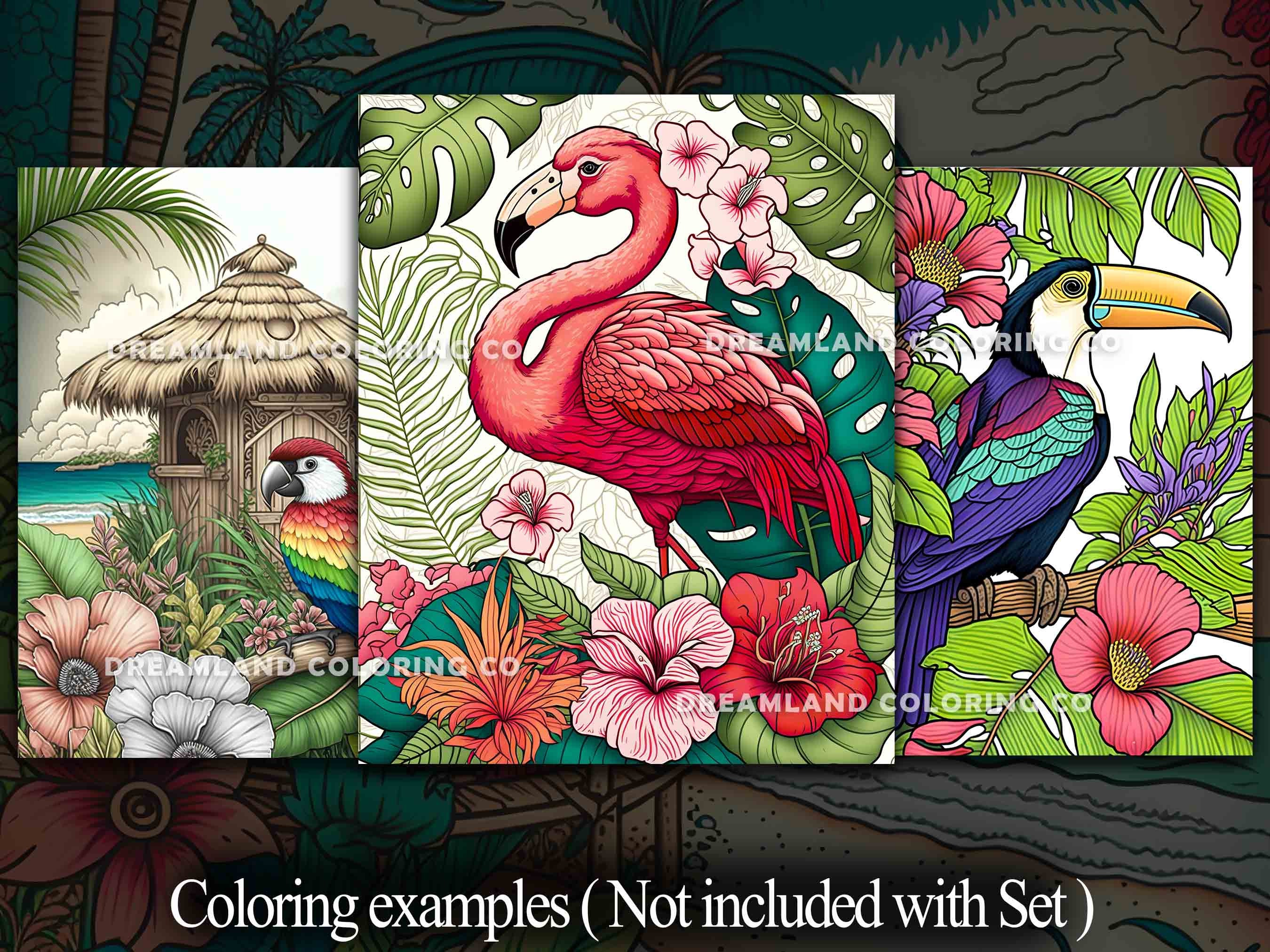 25 Tropical Vacation Trip Coloring Book Pages Adults Kids Traveling ...