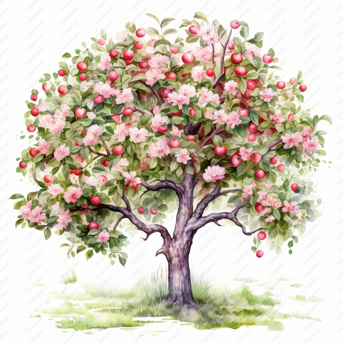 Apple Tree Clipart 10 High Quality Jpgs, Scrapbooks, Digital Craft ...