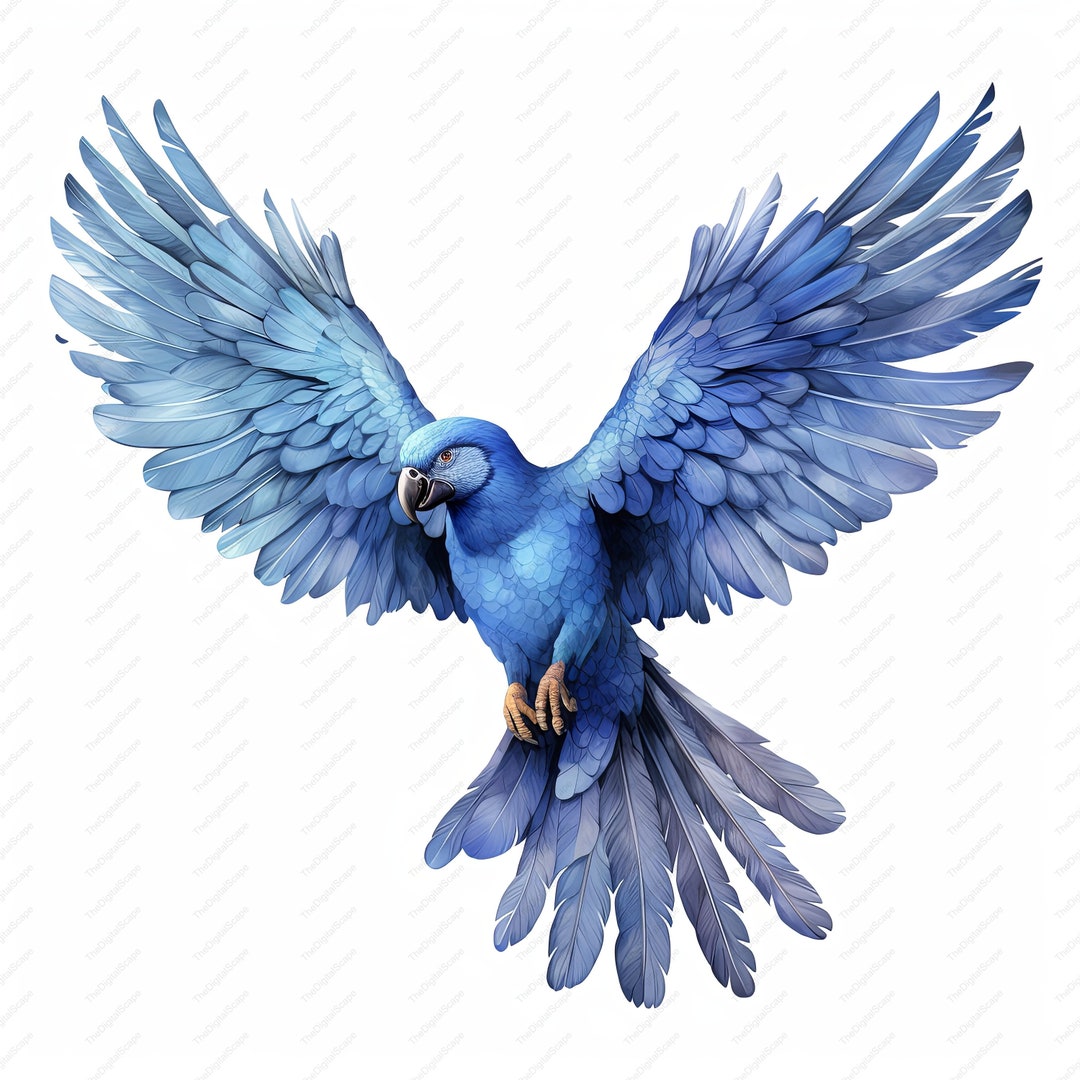 Blue Macaw Clipart - 10 High Quality Jpgs, Scrapbooks, Digital Craft ...
