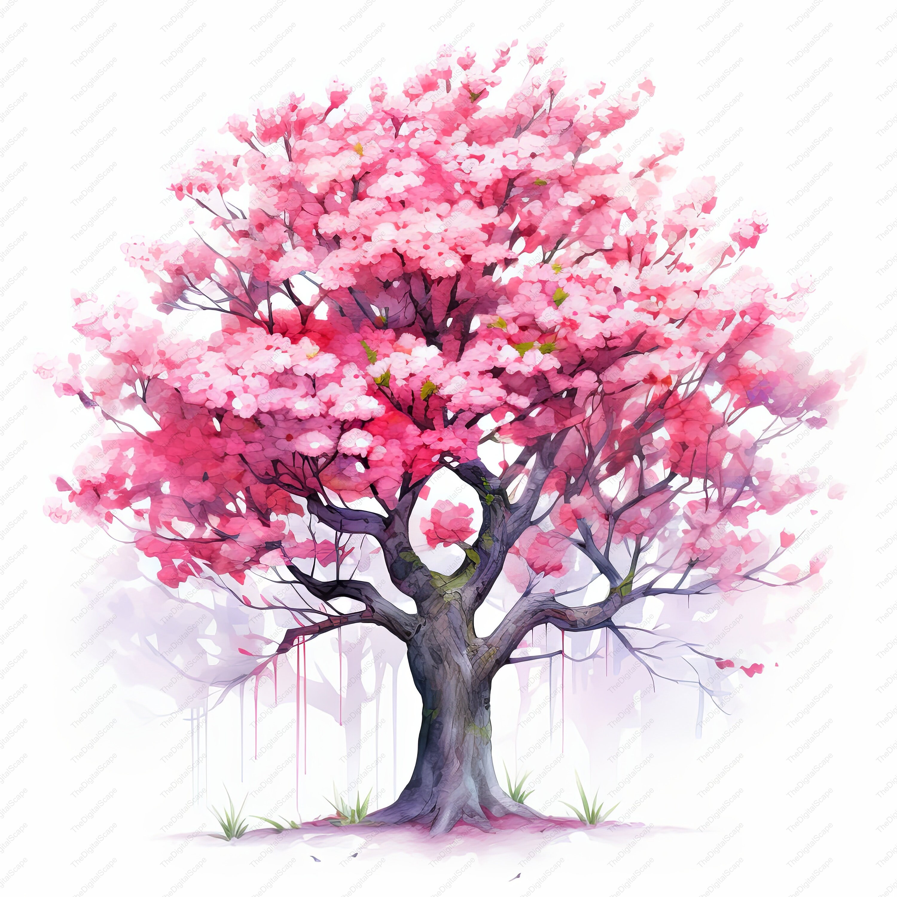 Cherry Blossom Tree Clipart 10 High Quality Jpgs, Scrapbooks, Digital ...