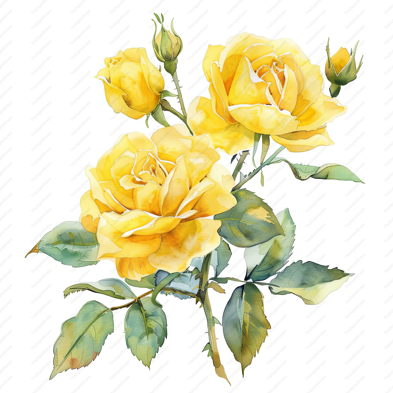 Yellow Roses Watercolor Clipart – High-quality Jpgs (digital Download ...