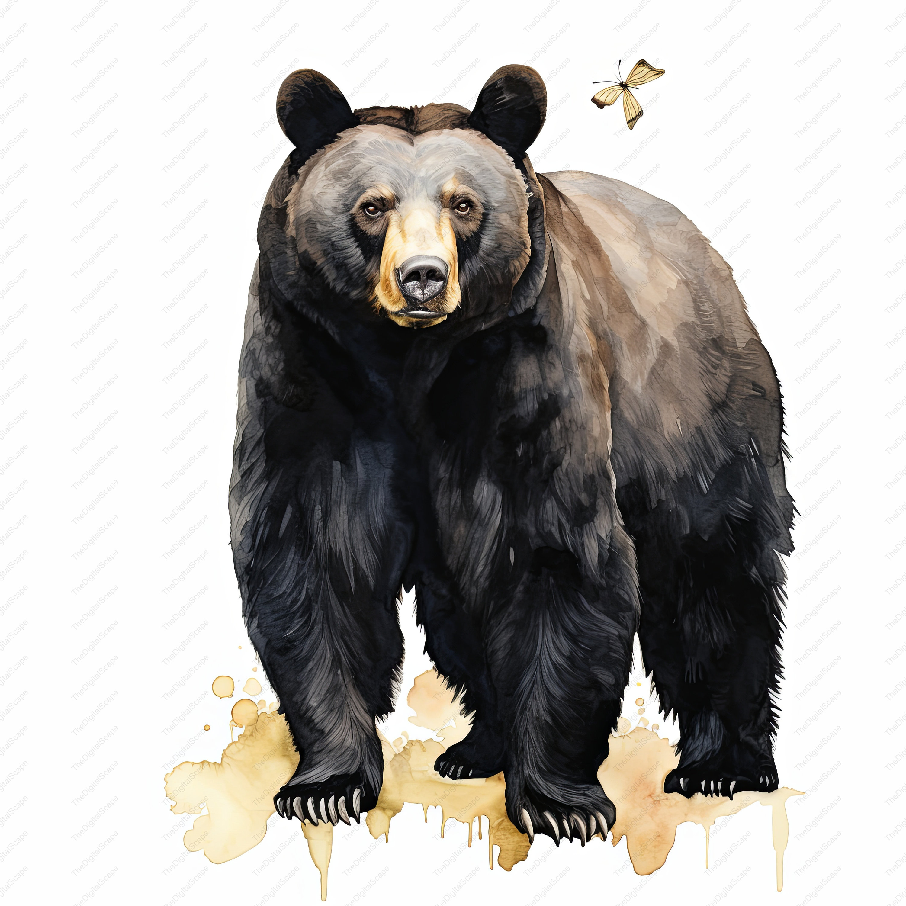 Black Bear Watercolor Clipart - Commercial Use (10 Jpgs) - Etsy