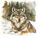 Wolf in Winter Clipart - 10 High Quality Jpgs, Scrapbooks, Digital ...