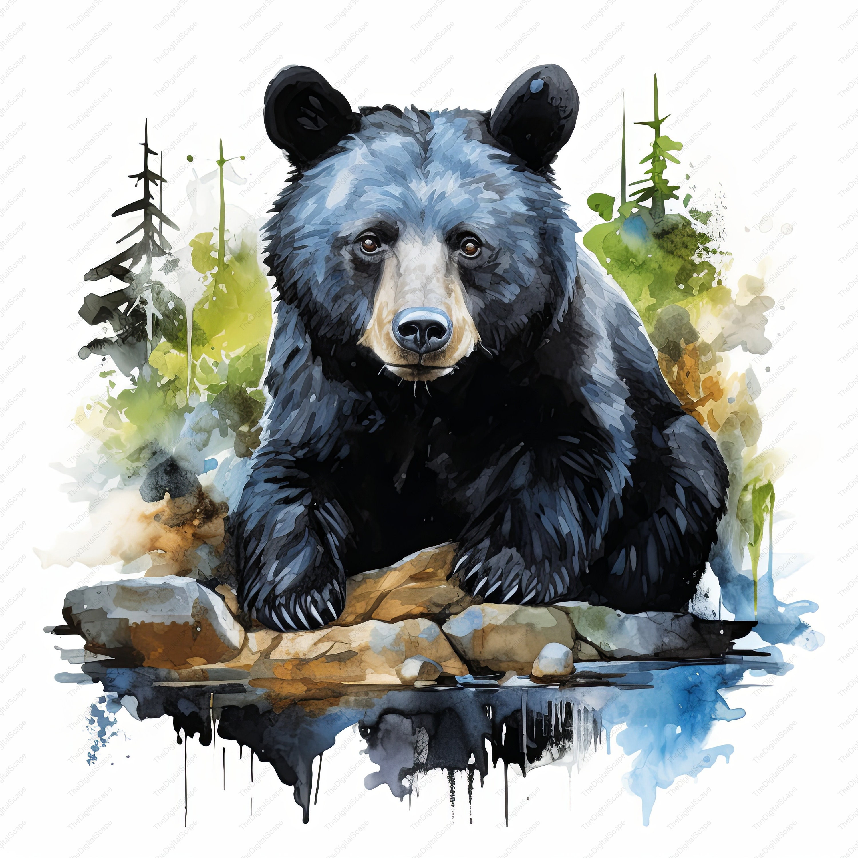 Black Bear Clipart 10 High Quality Jpgs, Scrapbooks, Digital Craft ...