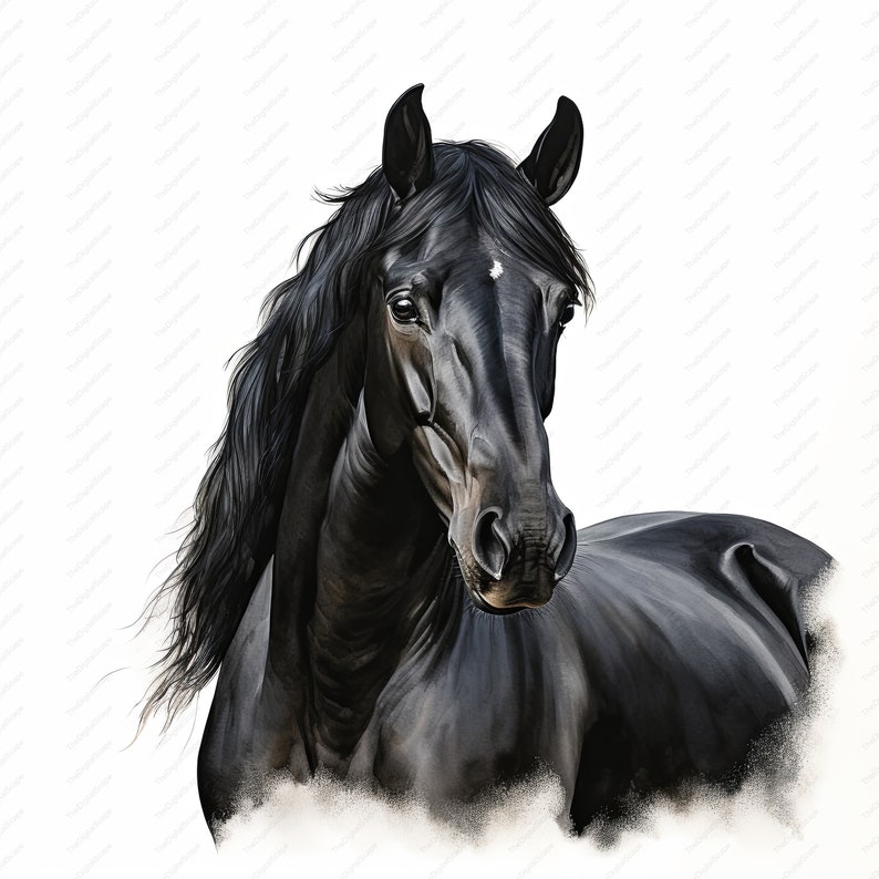 Black Horse Watercolor Clipart – Commercial Use, Digital Download - Etsy