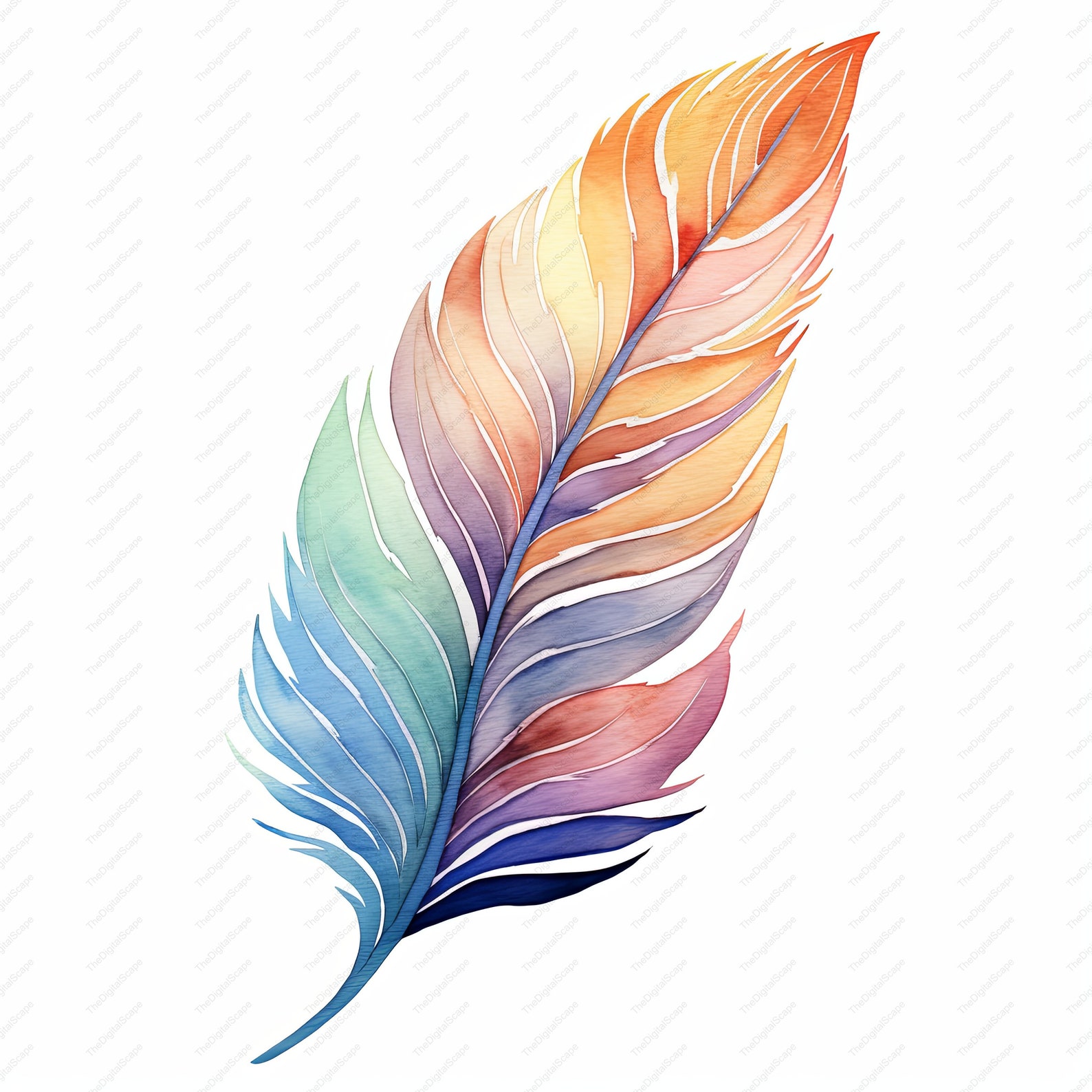 Watercolor Feather Clipart – Rainbow Feather Illustration (digital ...