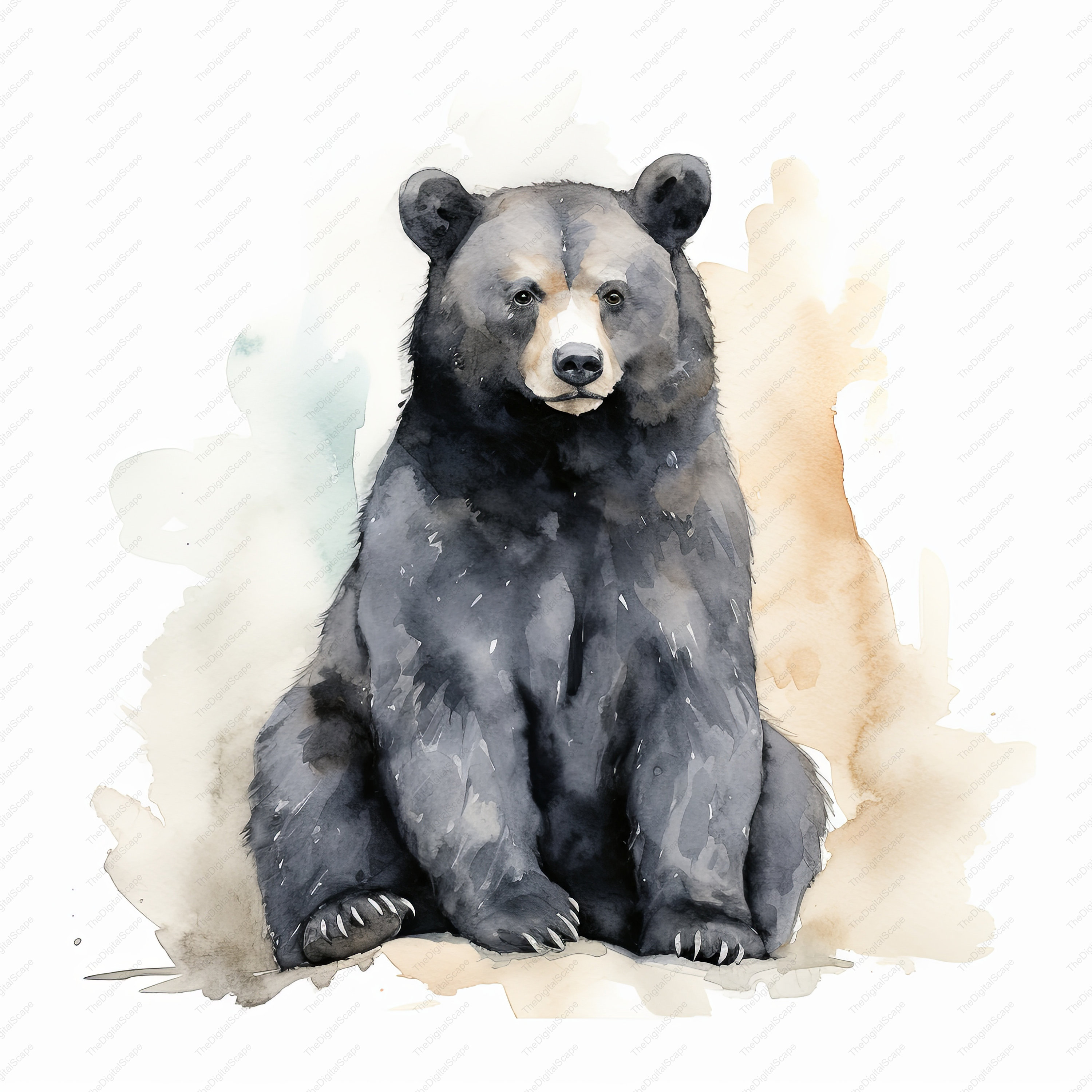 Black Bear Watercolor Clipart - Commercial Use (10 Jpgs) - Etsy