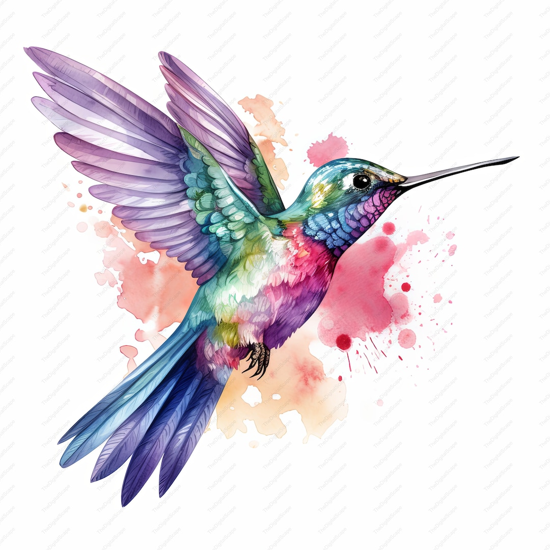 Watercolor Hummingbird Clipart – High Quality Jpgs, Commercial Use ...