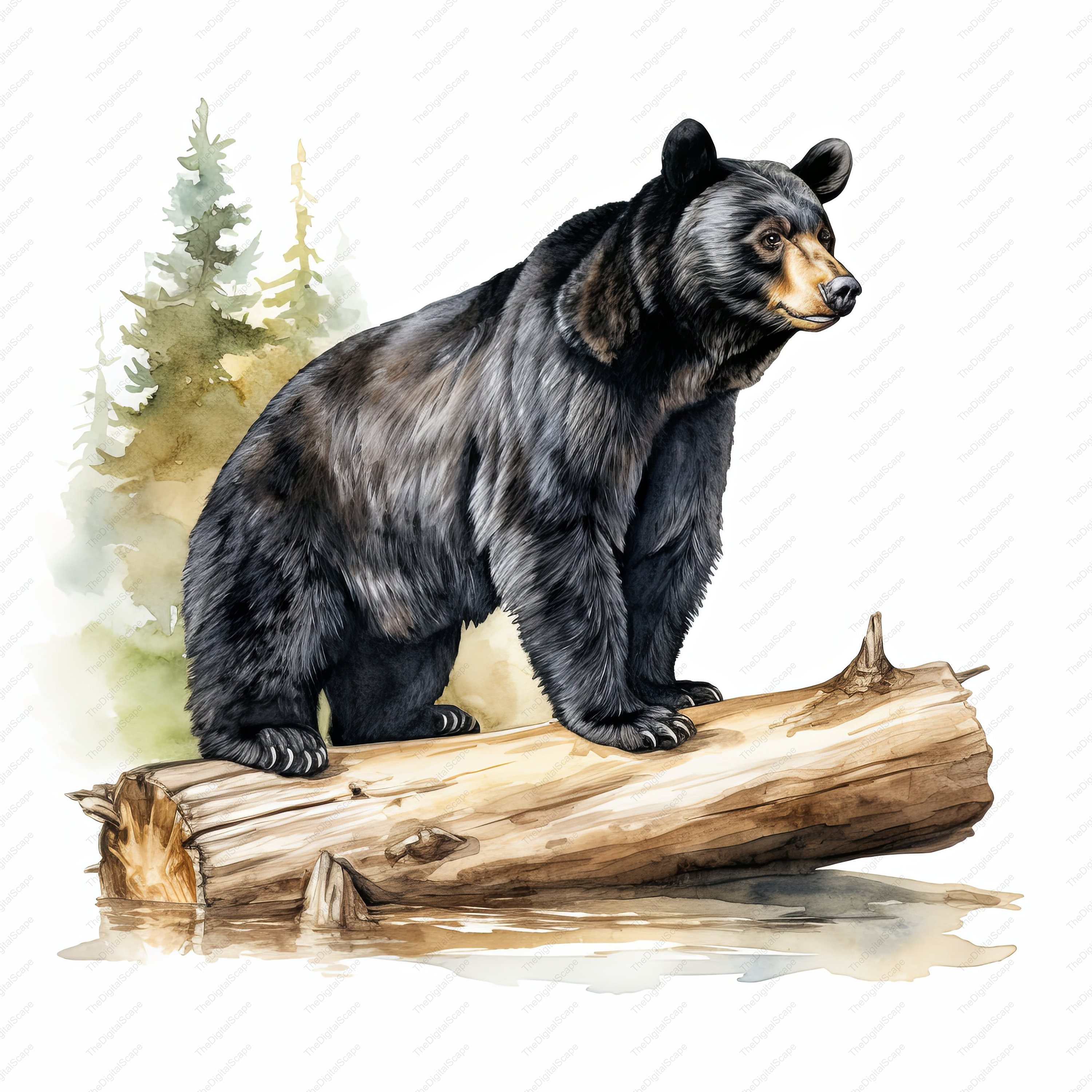 Black Bear Clipart 10 High Quality Jpgs, Scrapbooks, Digital Craft ...