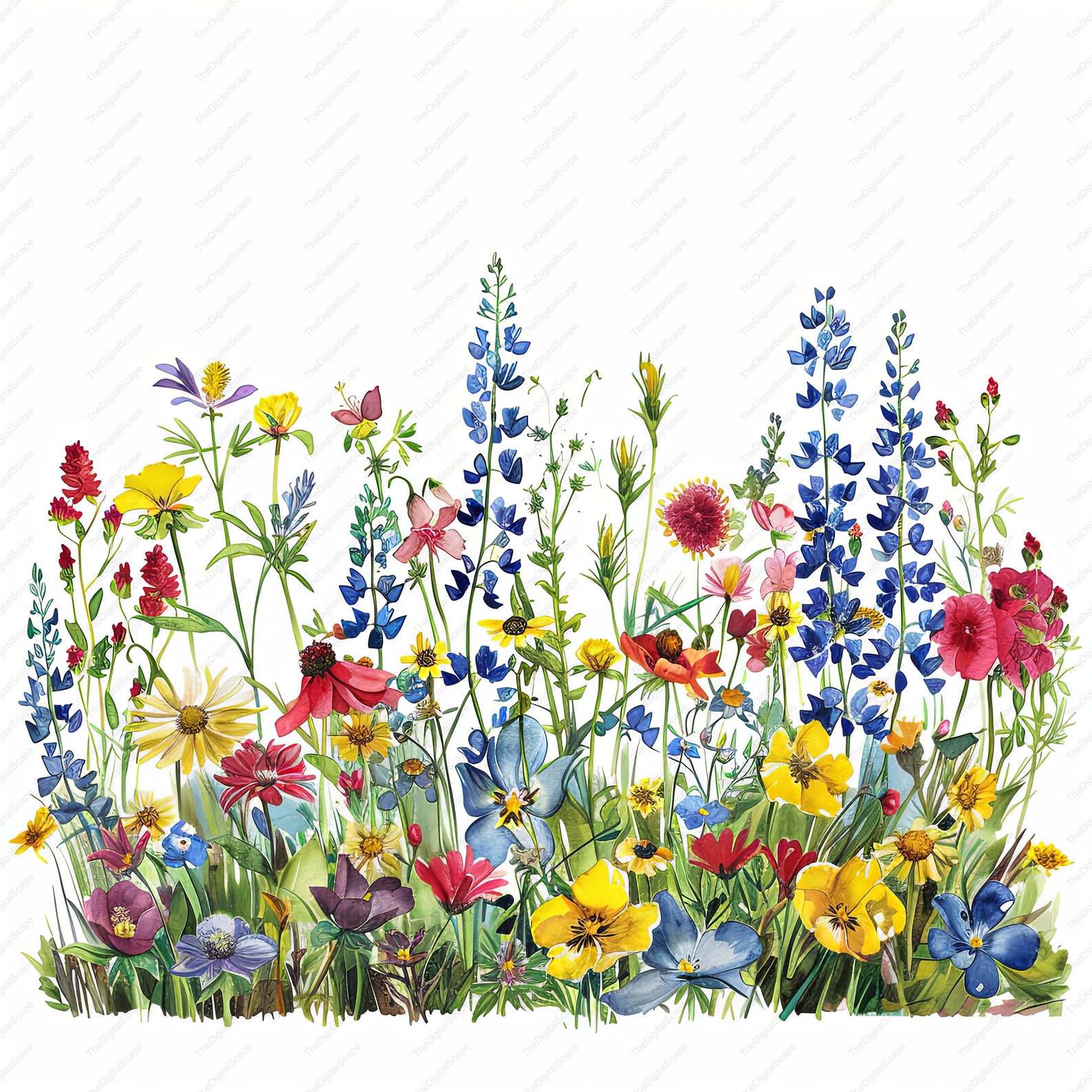 Wildflower Border Clipart - 10 High Quality Jpgs, Scrapbooks, Digital ...