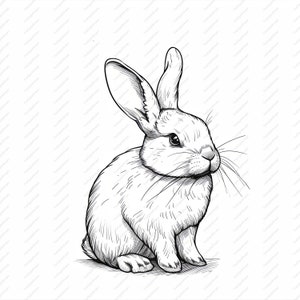 Bunny Line Art Clipart - 10 High Quality Jpgs, Scrapbooks, Digital ...