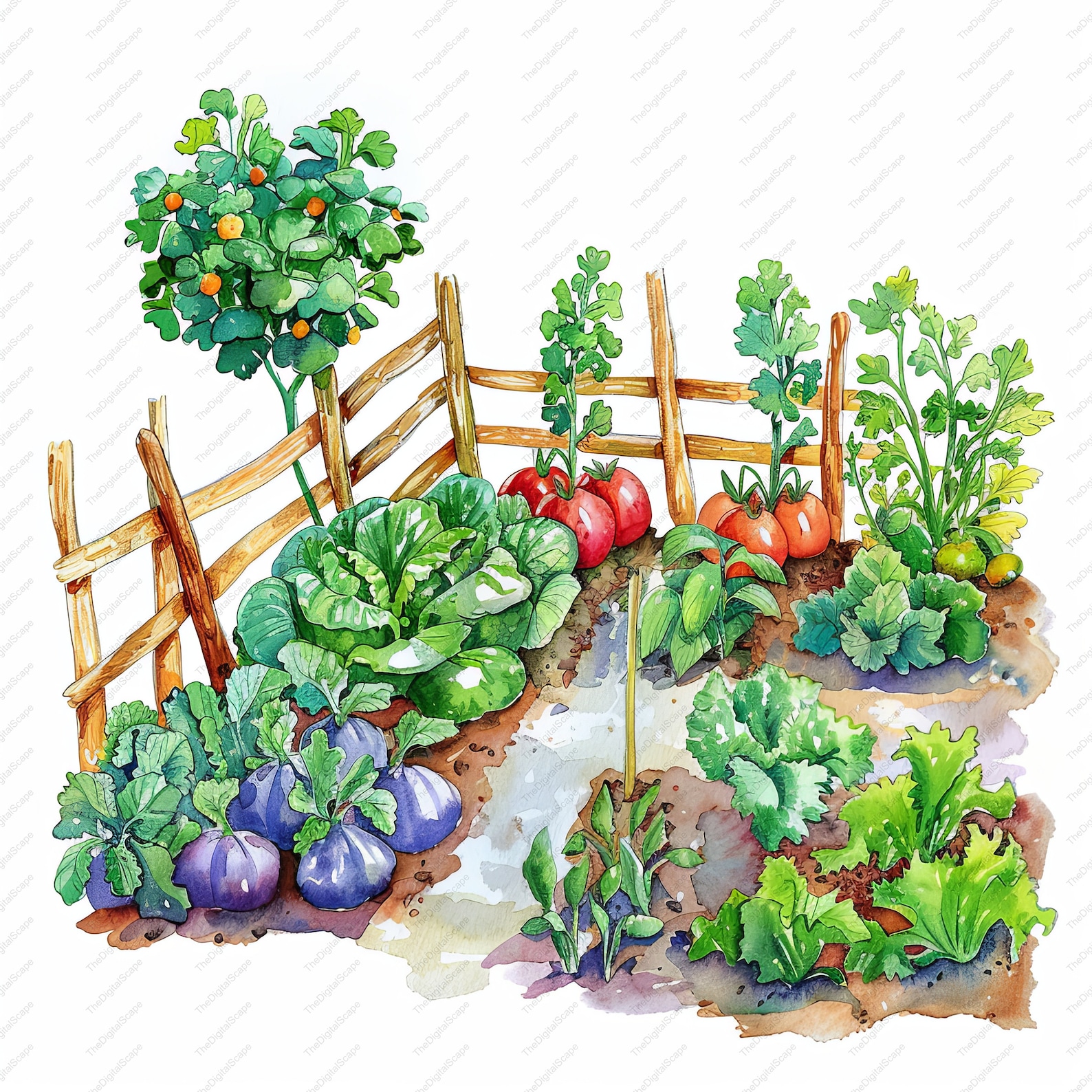 Vegetable Garden Clipart - 10 High Quality Jpgs, Scrapbooks, Digital ...
