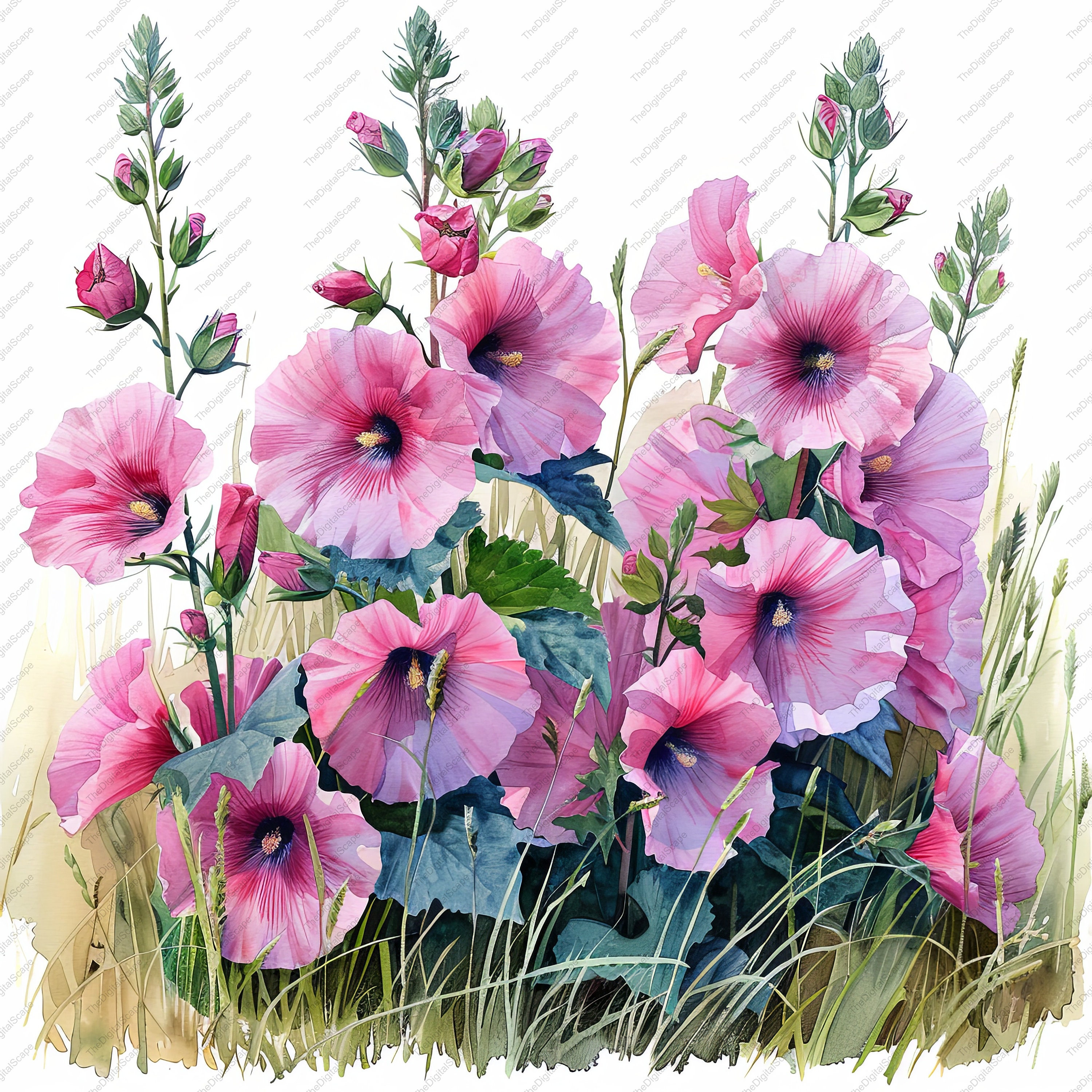 10 Pink Hollyhock Flowers Floral Clipart - High Quality Jpgs ...