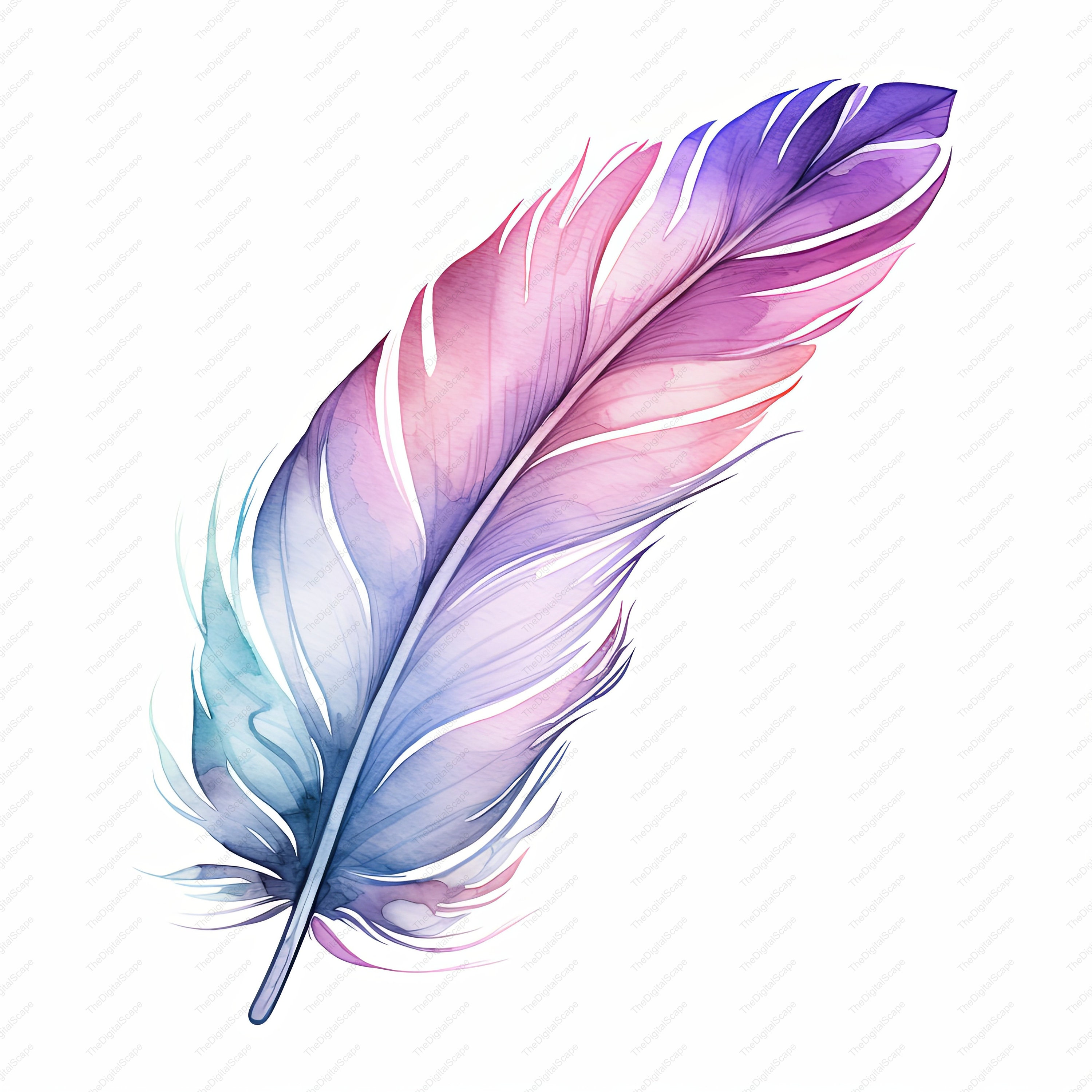 Watercolor Feather Clipart – Rainbow Feather Illustration (digital ...