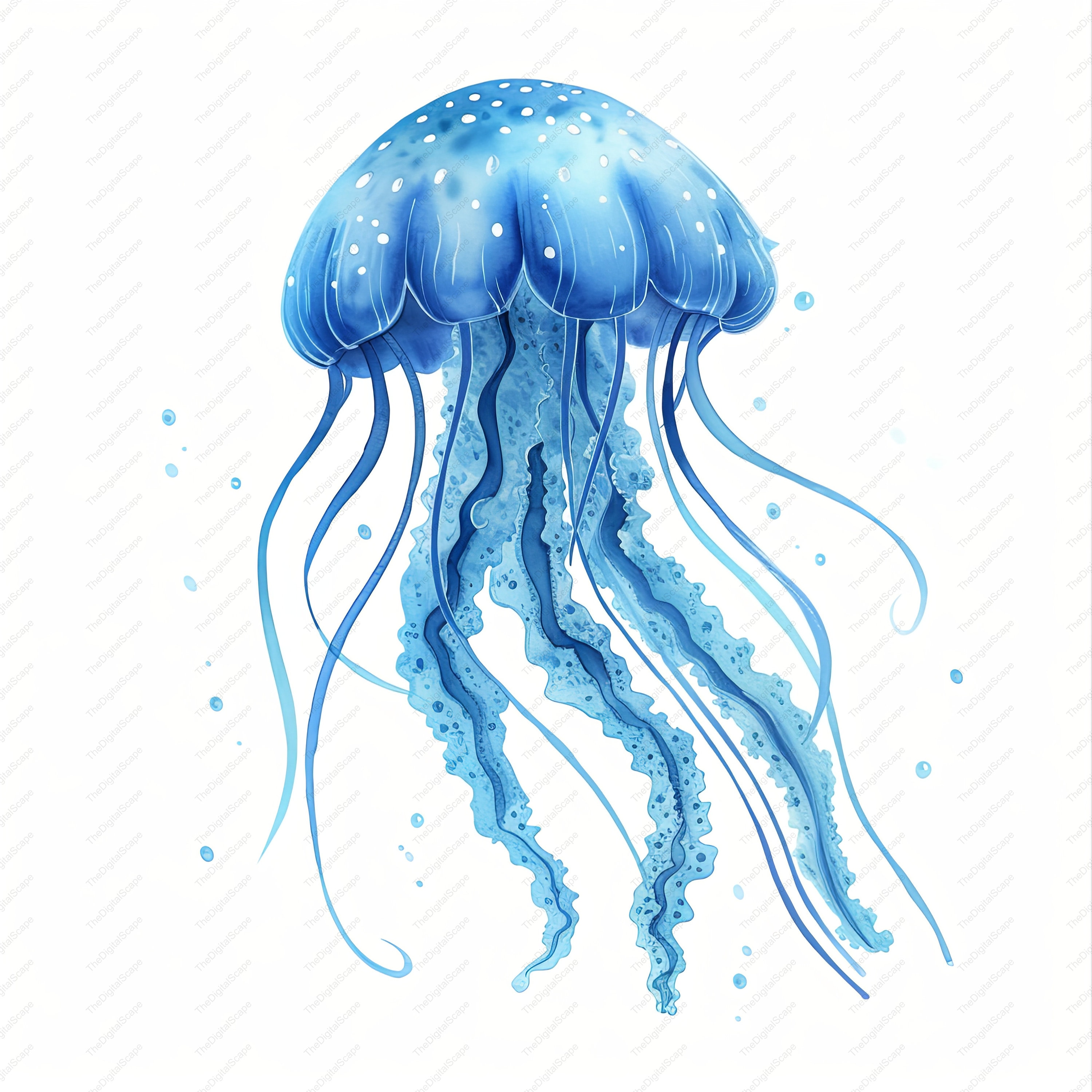Blue Jellyfish Clipart - 10 High Quality Jpgs, Scrapbooks, Digital ...