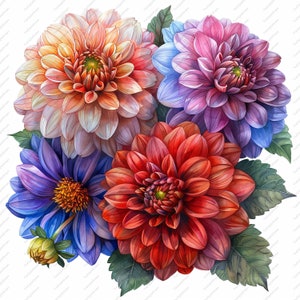 10 Dahlia Flowers Clipart - High Quality Jpgs, Scrapbooks, Digital ...