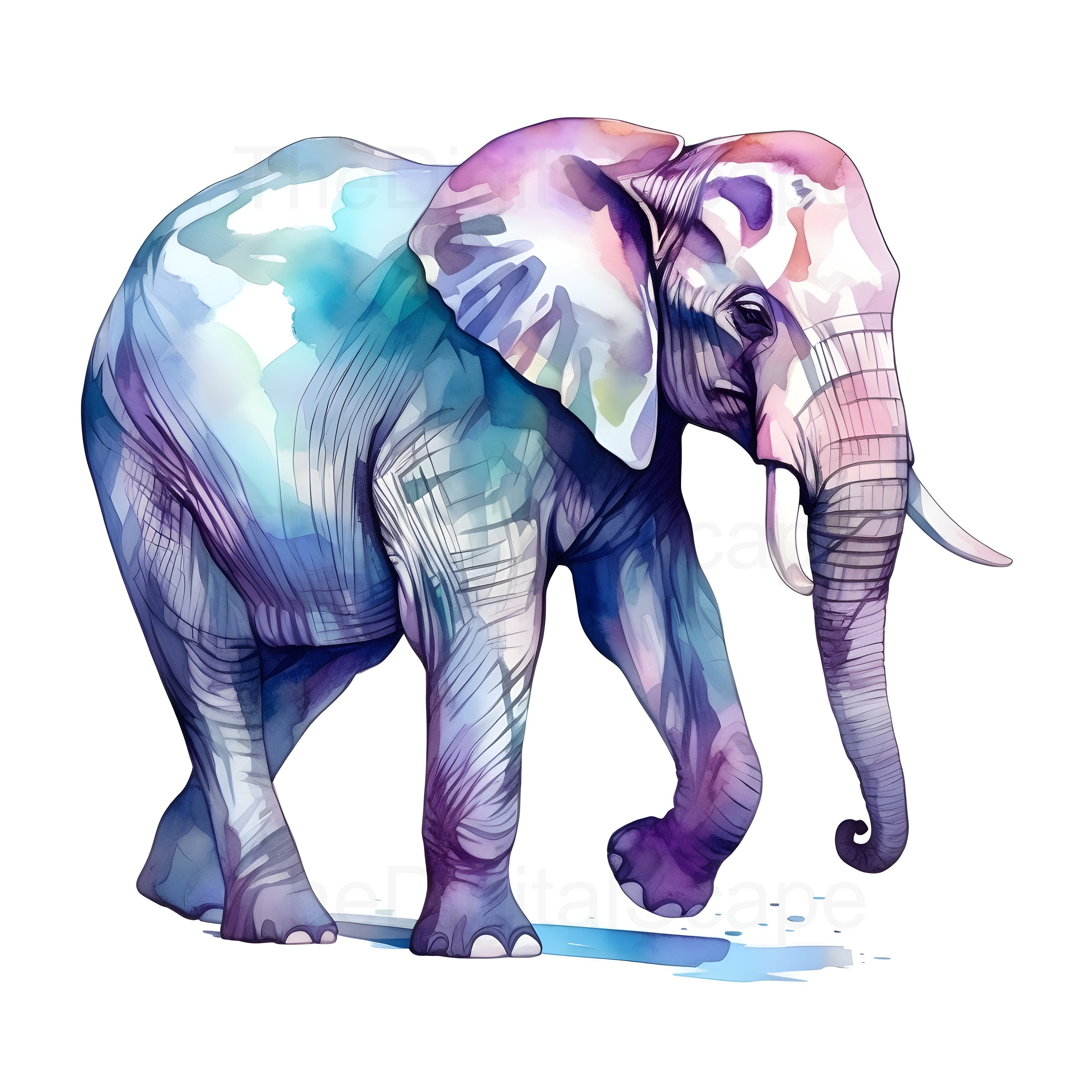 Watercolor Elephant Clipart – Animal Art, Commercial Use (instant ...