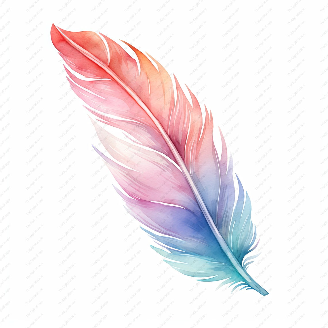 Watercolor Feather Clipart – Rainbow Feather Illustration (digital ...