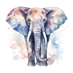 Watercolor Elephant Clipart – Animal Art, Commercial Use (instant ...