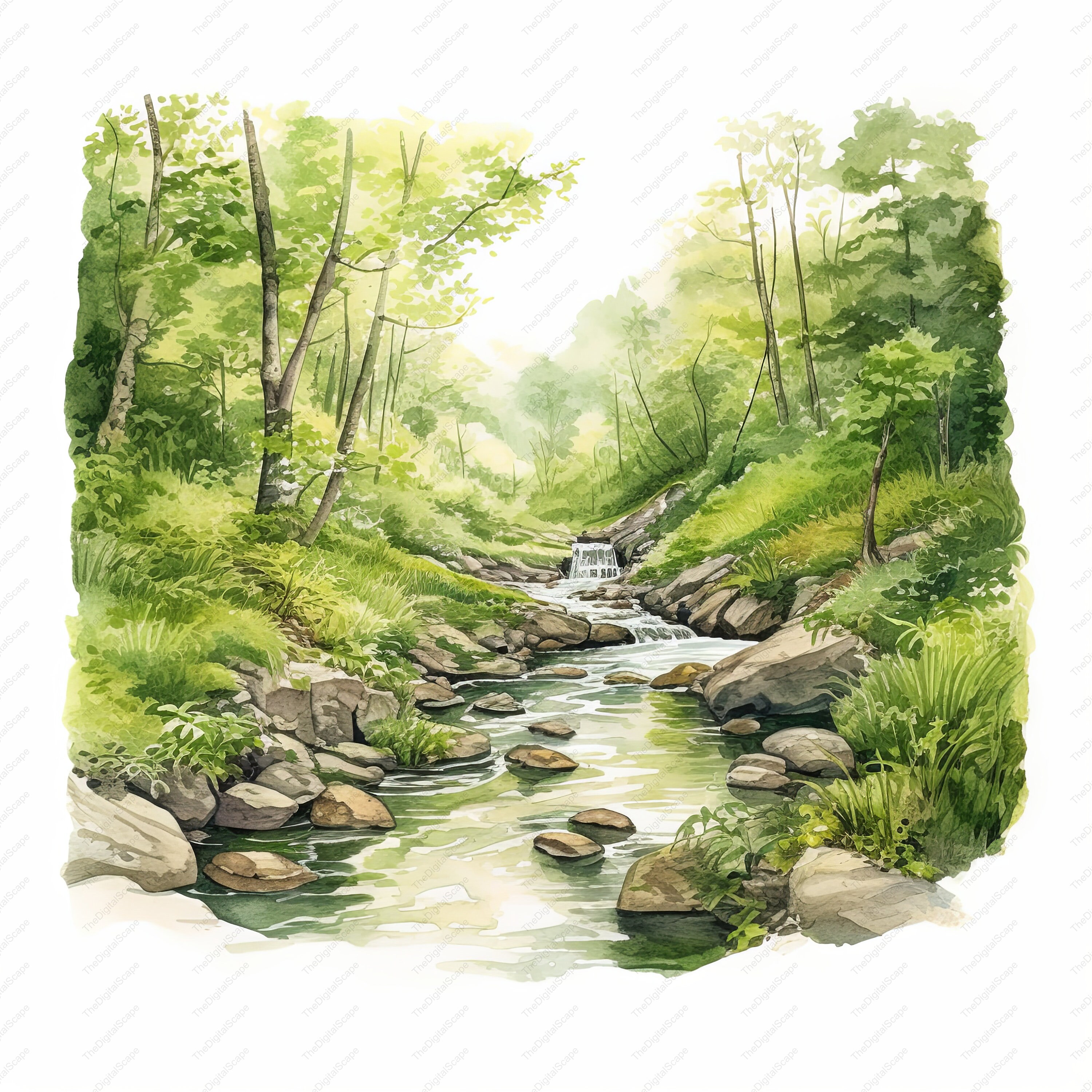 Woodland Streams Clipart 10 High Quality Jpgs, Scrapbooks, Digital ...