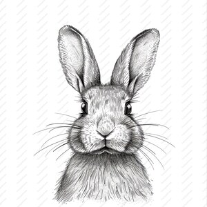 Bunny Line Art Clipart - 10 High Quality Jpgs, Scrapbooks, Digital ...