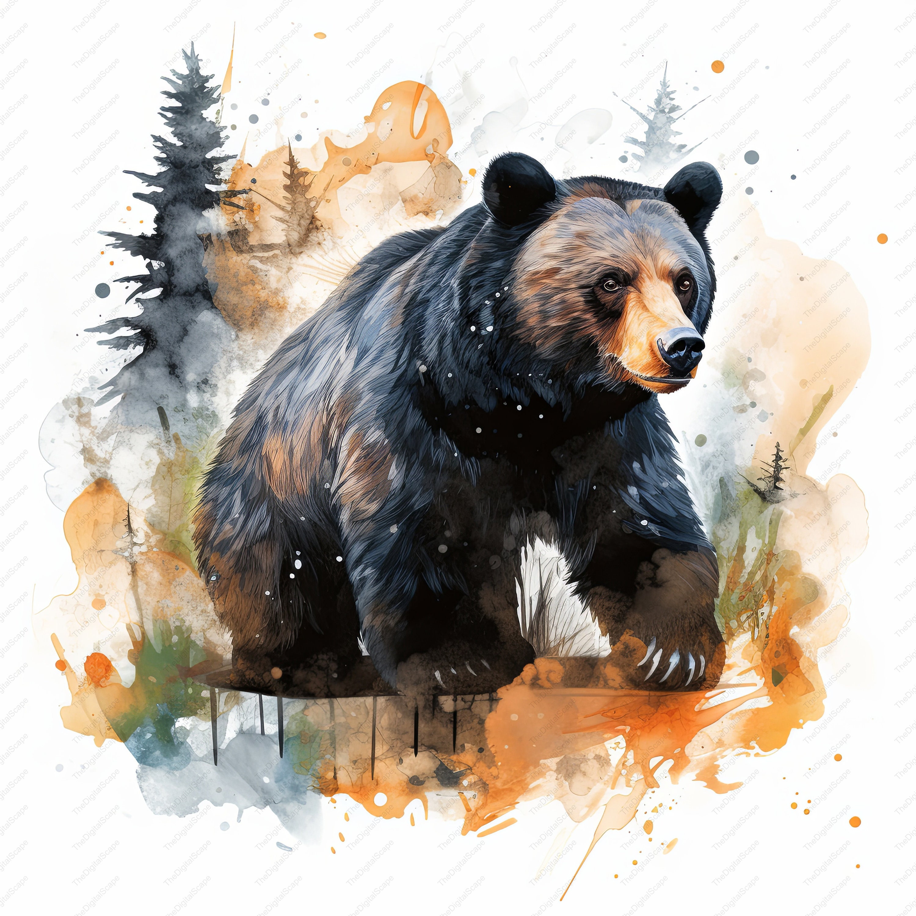 Black Bear Clipart 10 High Quality Jpgs, Scrapbooks, Digital Craft ...
