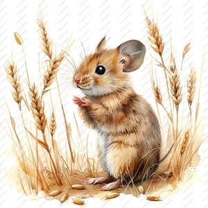 Field Mouse Clipart - High Quality Jpgs for Commercial Use (instant ...