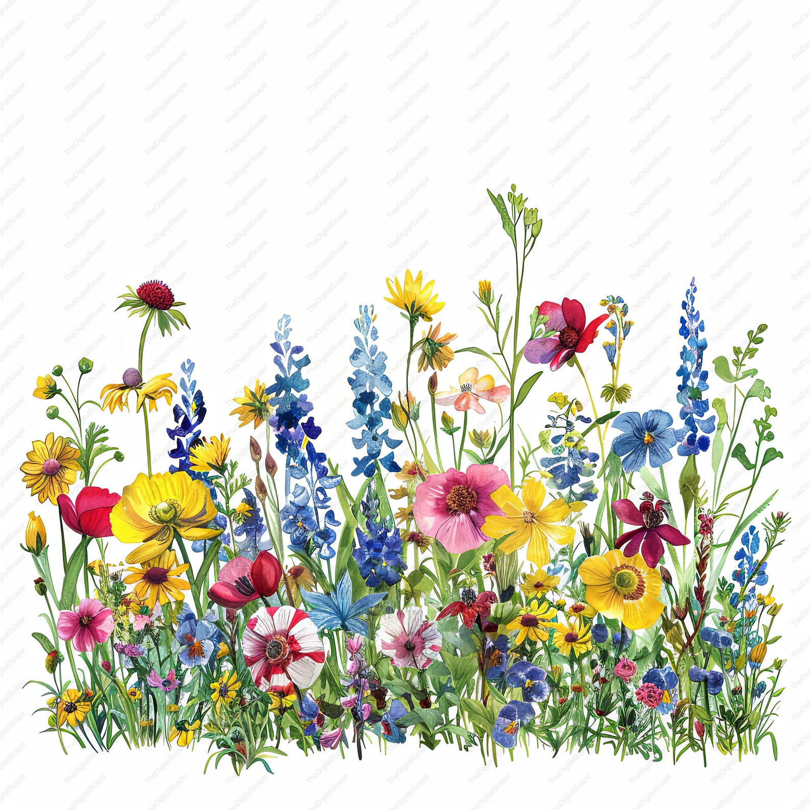 Wildflower Border Clipart - 10 High Quality Jpgs, Scrapbooks, Digital ...