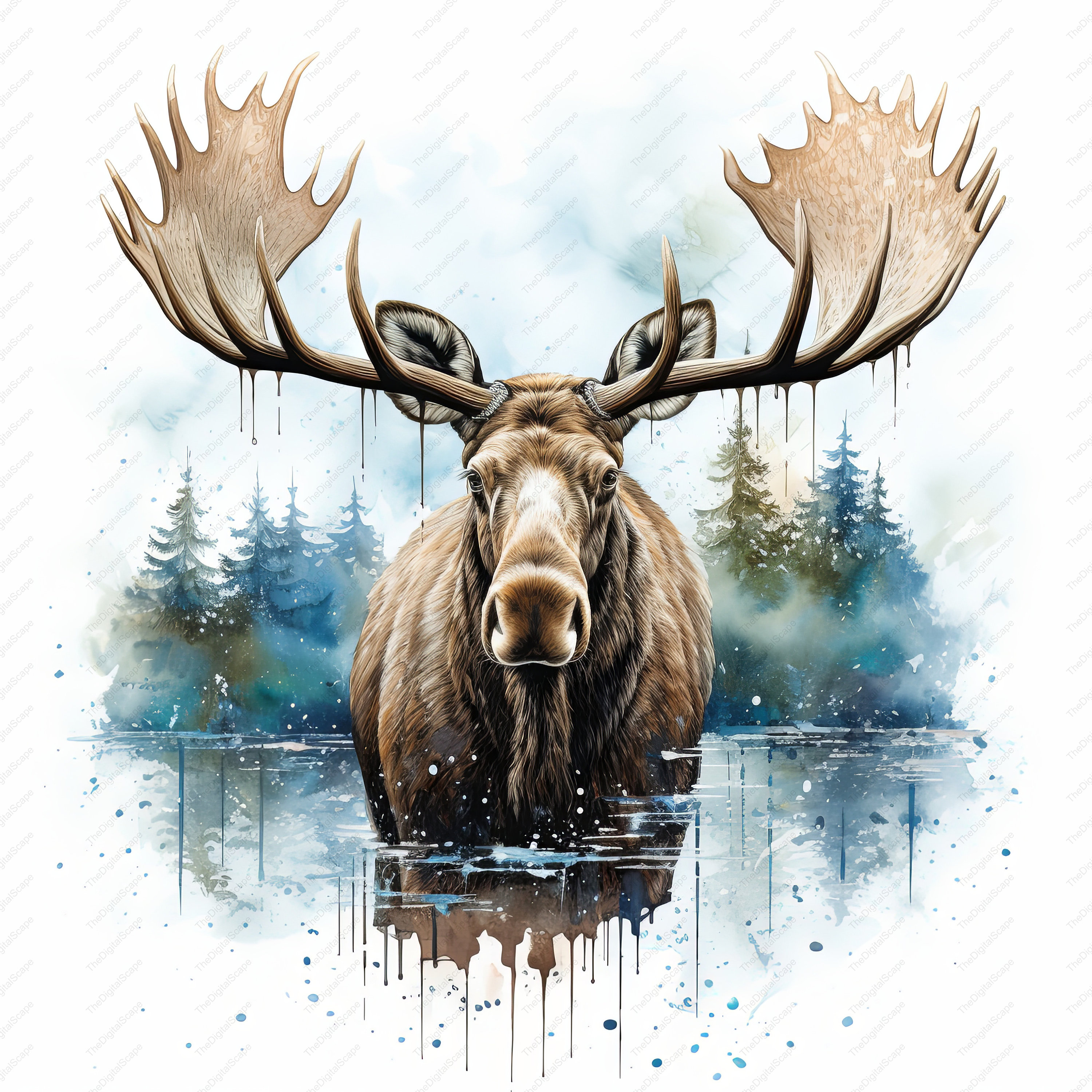 Moose Watercolor Clipart - High Quality Jpgs, Commercial Use (instant ...