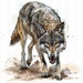Hungry Wolf Watercolor Clipart – Commercial Use Jpgs (digital Download ...