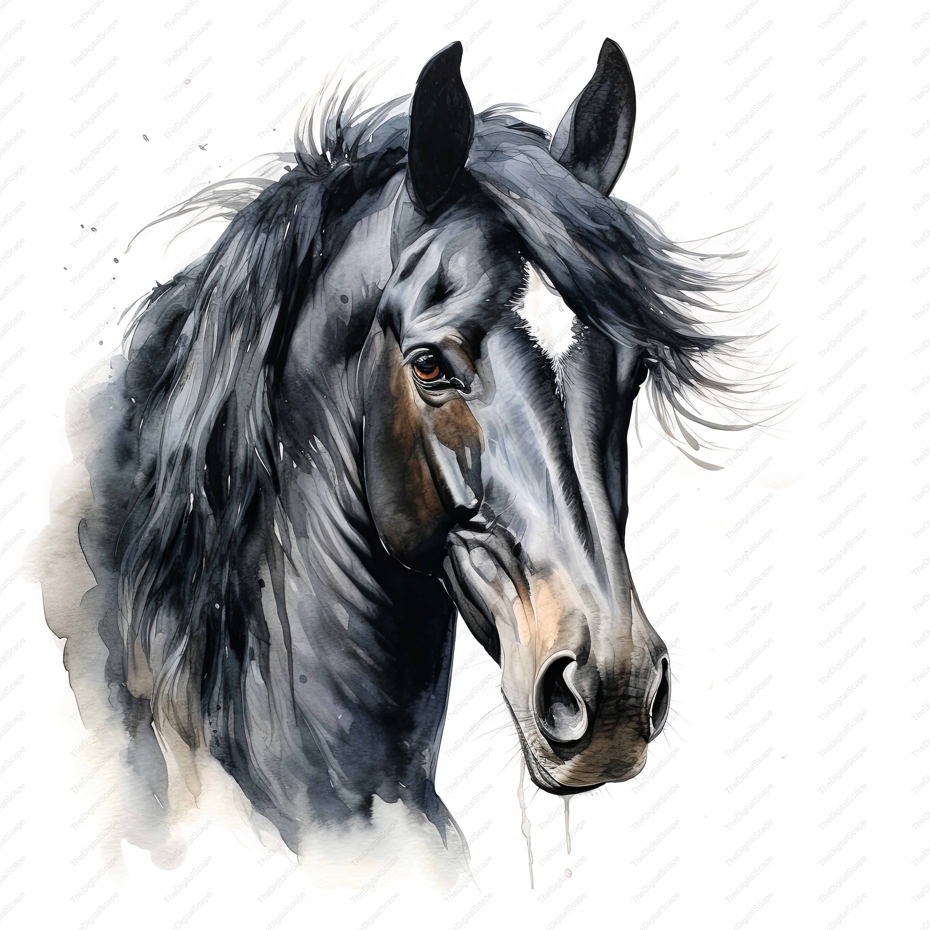 Black Horse Watercolor Clipart – Commercial Use, Digital Download - Etsy