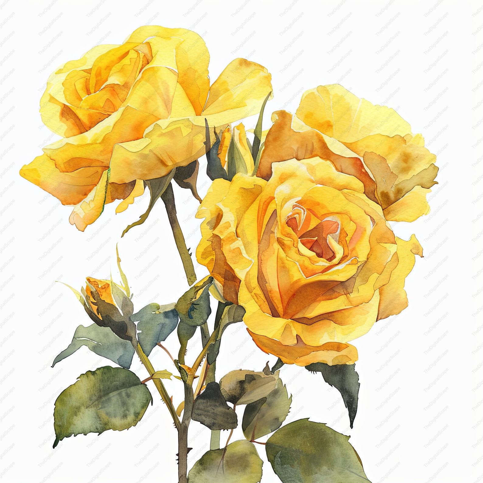 Yellow Roses Watercolor Clipart – High-quality Jpgs (digital Download ...