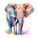 Watercolor Elephant Clipart – Animal Art, Commercial Use (instant ...